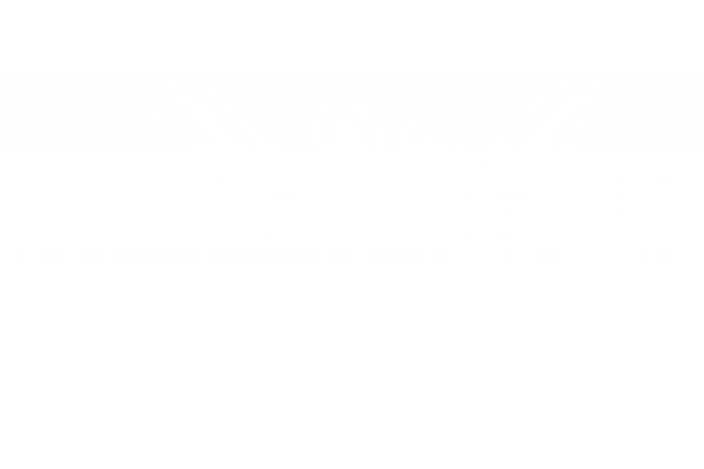 INFO – MacMoray Festival